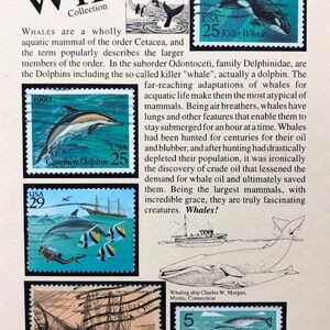 Stamps "whales" Framed Stamp Art - Etsy