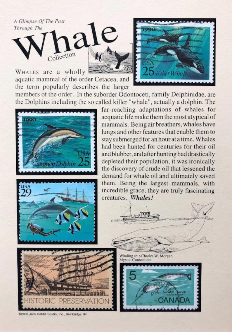 Stamps "whales" Framed Stamp Art - Etsy
