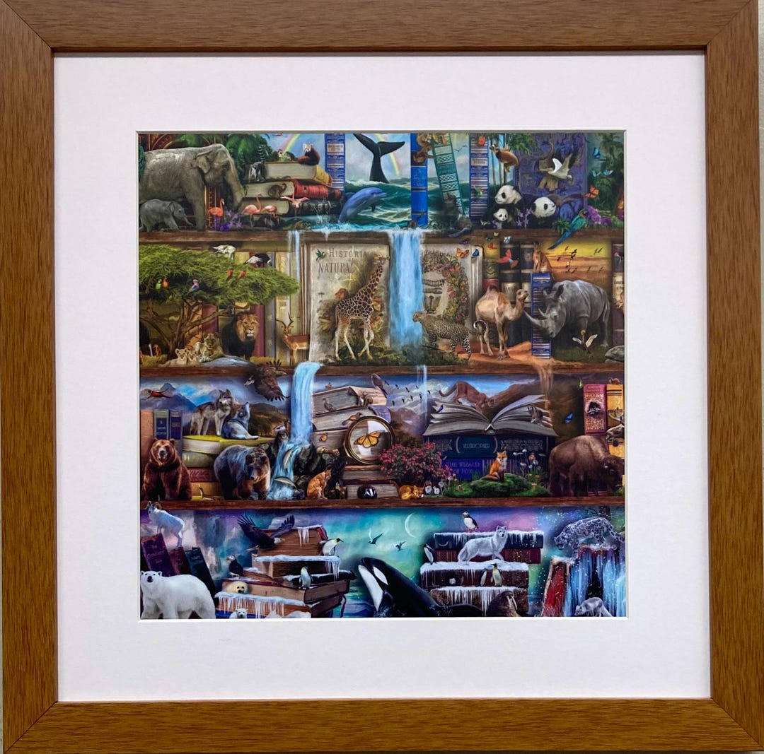 Amiee Stewart "amazing Animal Kingdom" Custom Framed Art Print NEW - Etsy