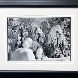 Ansel Adams "trees in Snow, Yosemite" California Custom Framed NEW ART ...