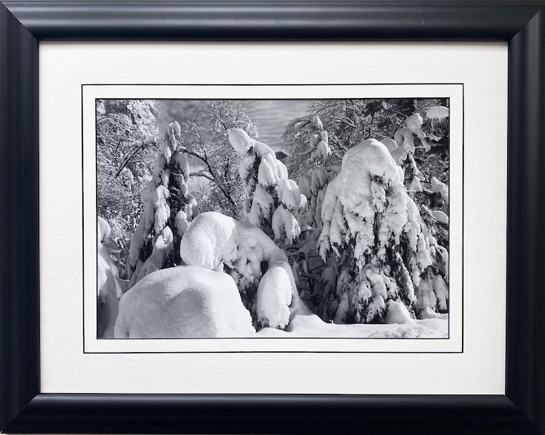 Ansel Adams trees in Snow Yosemite California - Etsy