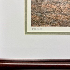 Helen Rundell "wooded Stead" FRAMED Limited Ed Plate Signed Art ...