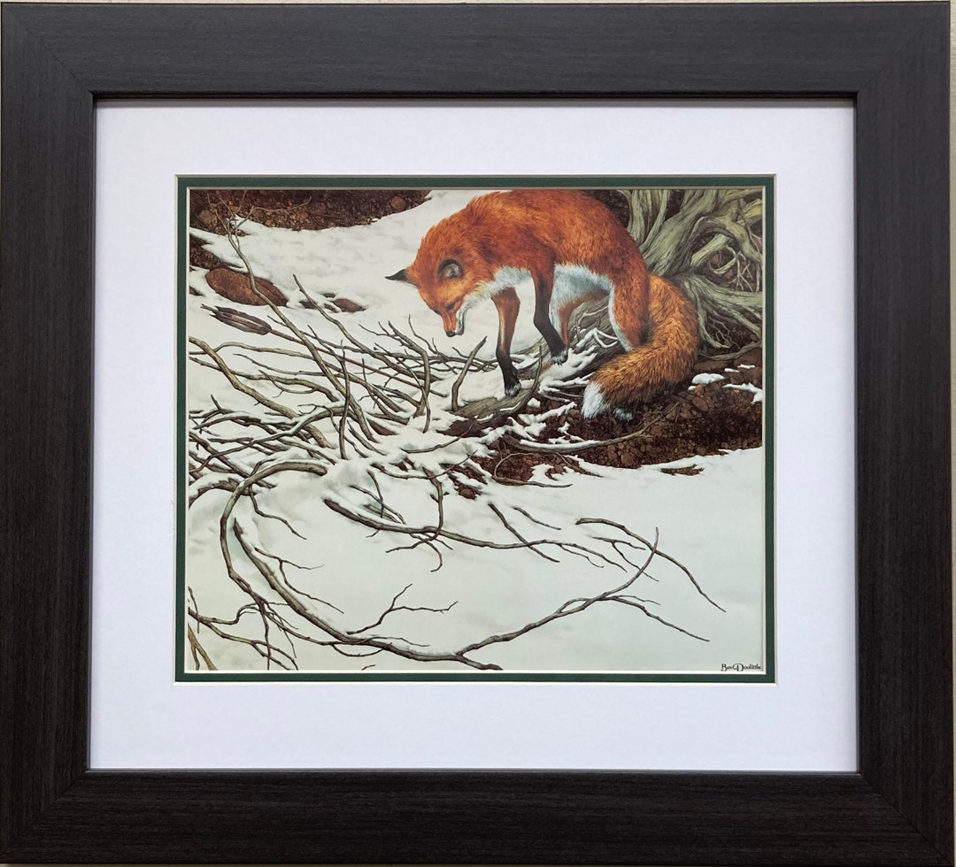 Bev Doolittle "missed!" Newly FRAMED American Art Artist Fox - Etsy