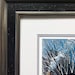 Denise Patchell-olson "memories" CUSTOM FRAMED Signed #'d Litho Nature ...