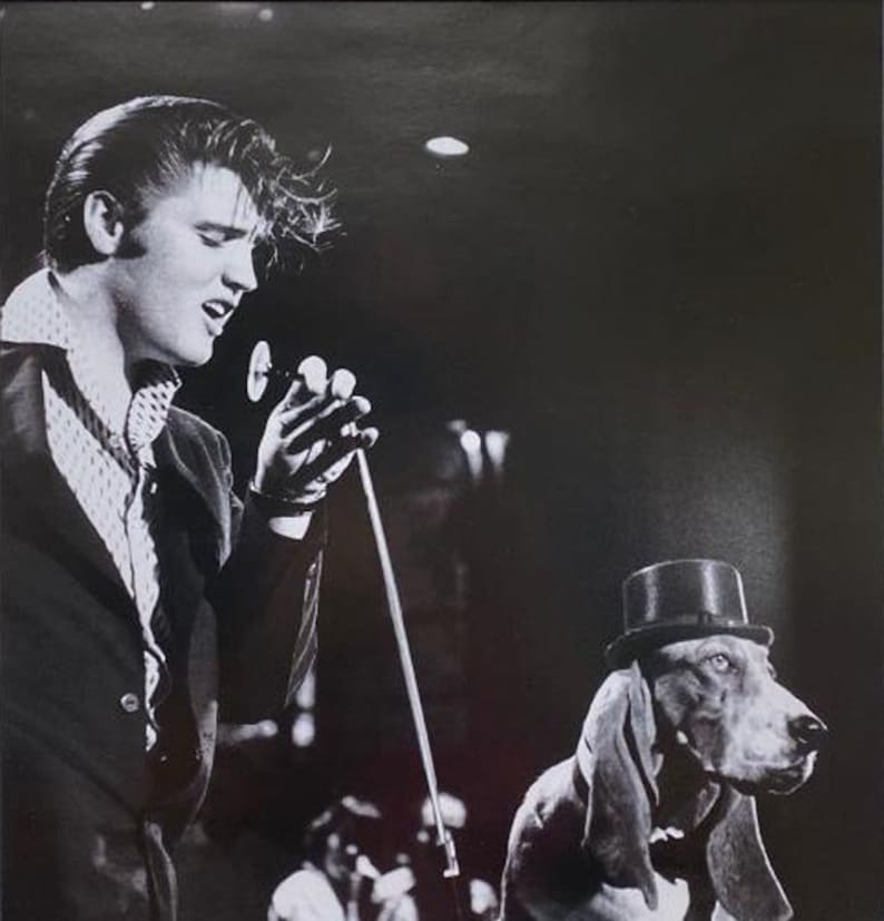 Elvis Presley Sings to Hound Dog NBC Framed | Etsy
