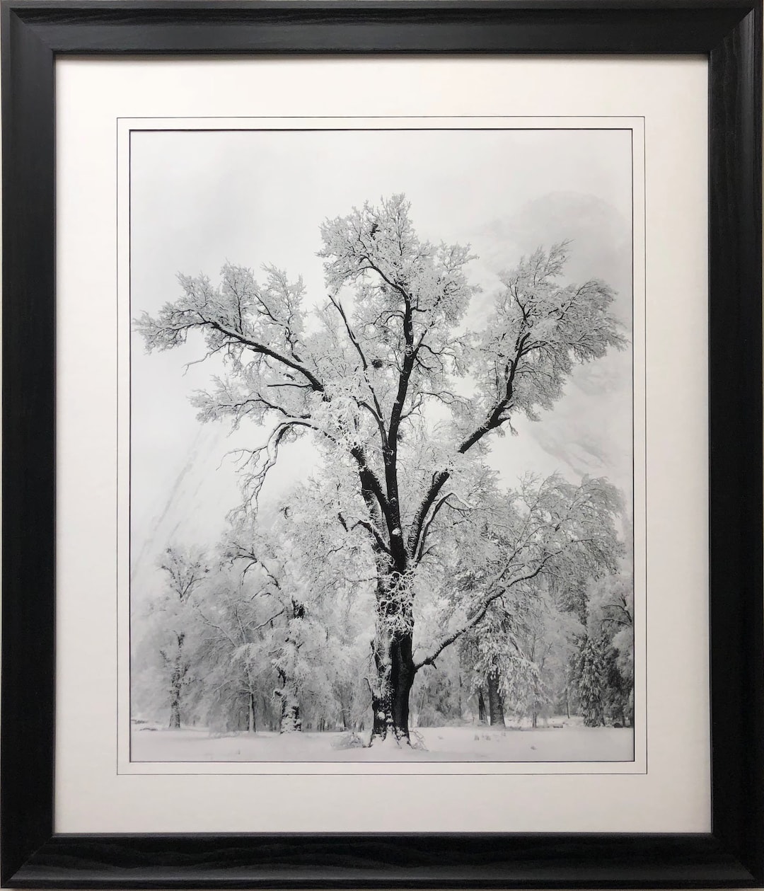 Ansel Adams "oak Tree Snowstorm" Custom Framed NEW - Etsy