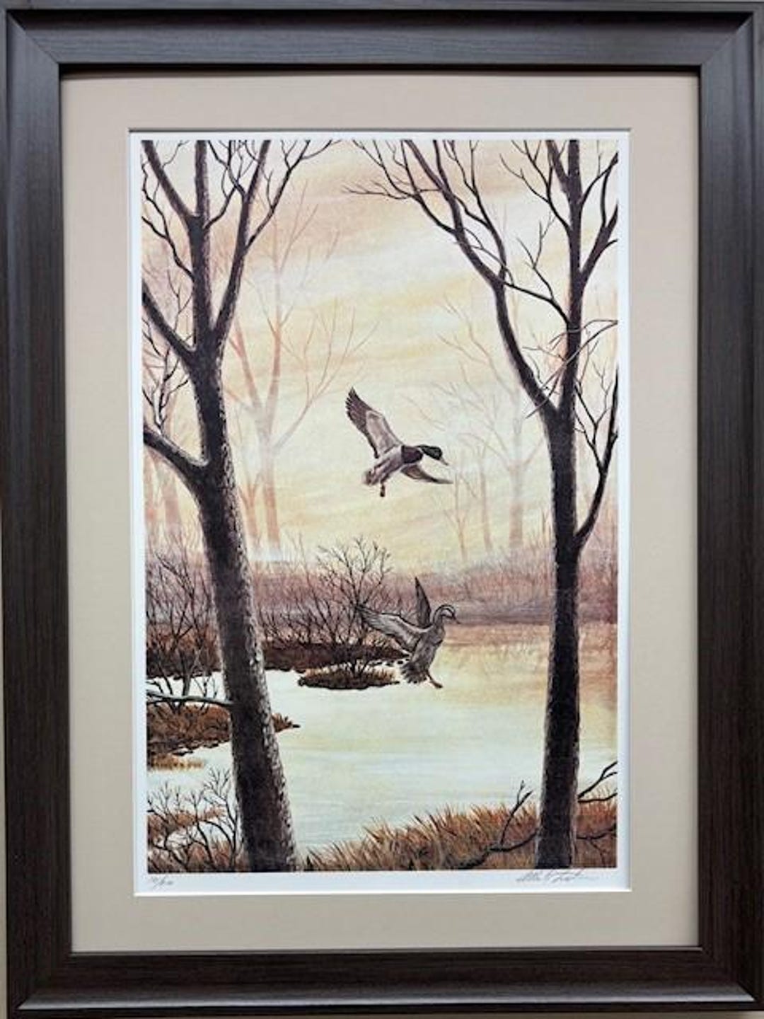 Allen Friedman "comin In" Hand Signed Limited Edition Framed Art Bird ...