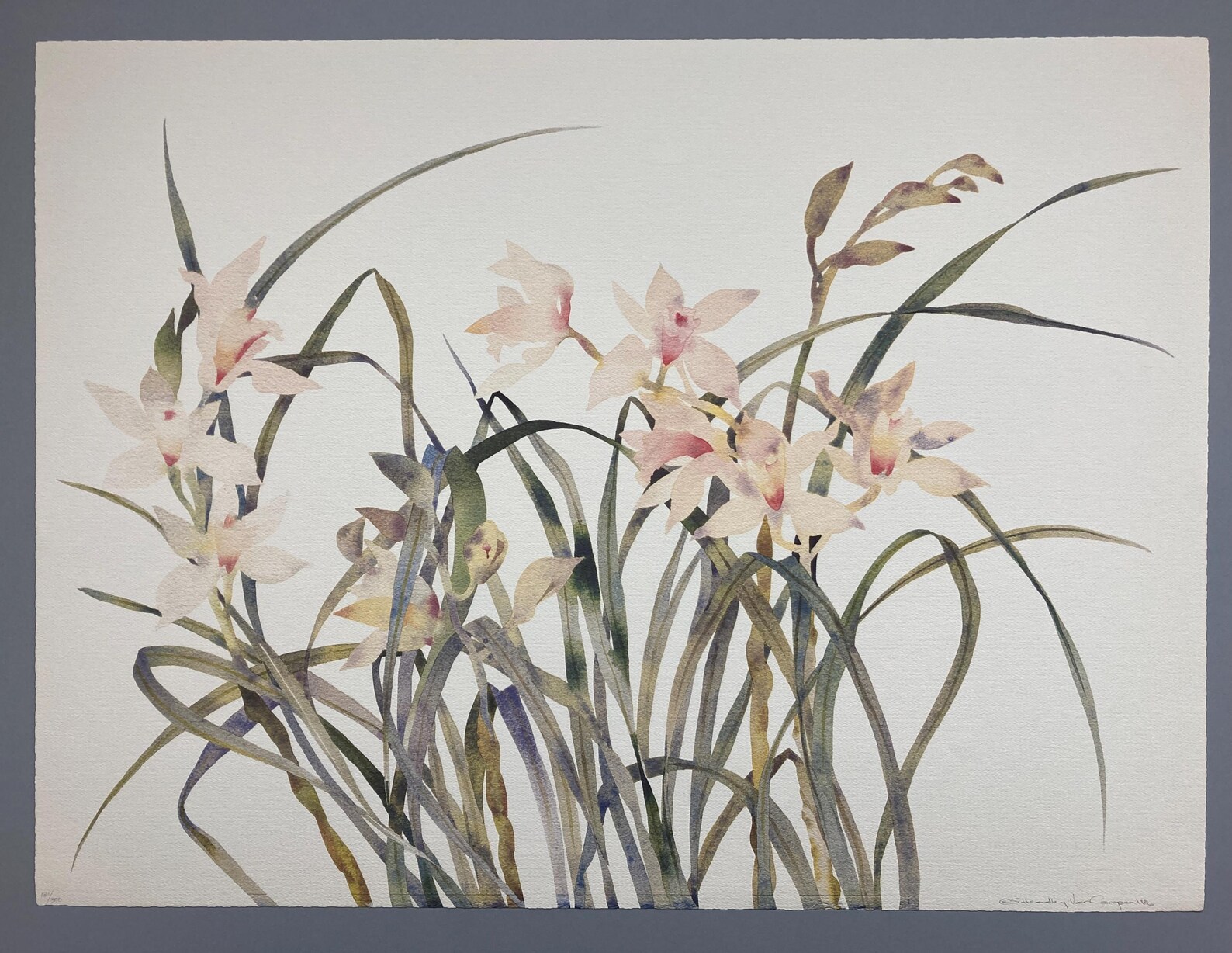 Susan Headley Van Campen "pink Lilies" Hand Signed Lim. Ed. New Framed ...