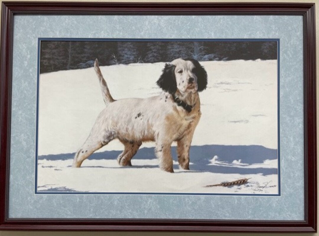 Phillip Crowe "mistaken Identity"- English Setter Hand Signed & # Art ...