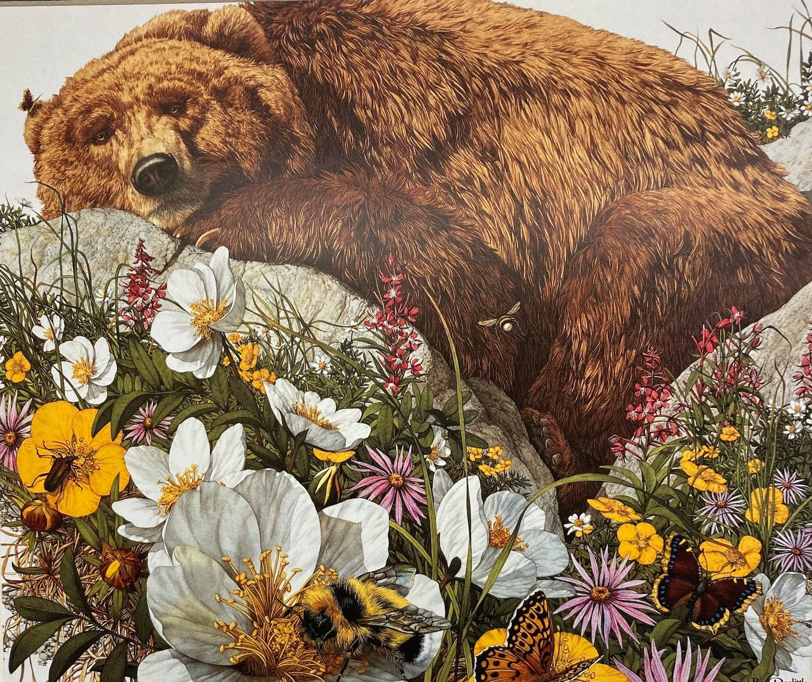Bev Doolittle "bugged Bear" Newly FRAMED American Art Artist - Etsy