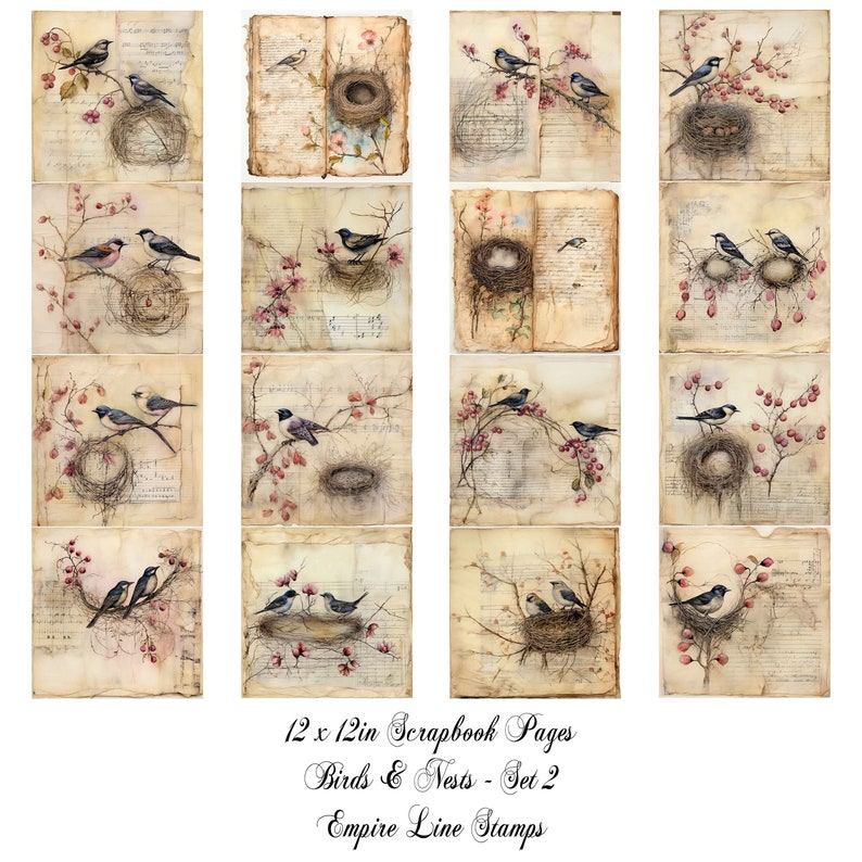 Birds and Nests 12x12 Inch Full Size Papers Downloadable Printable ...