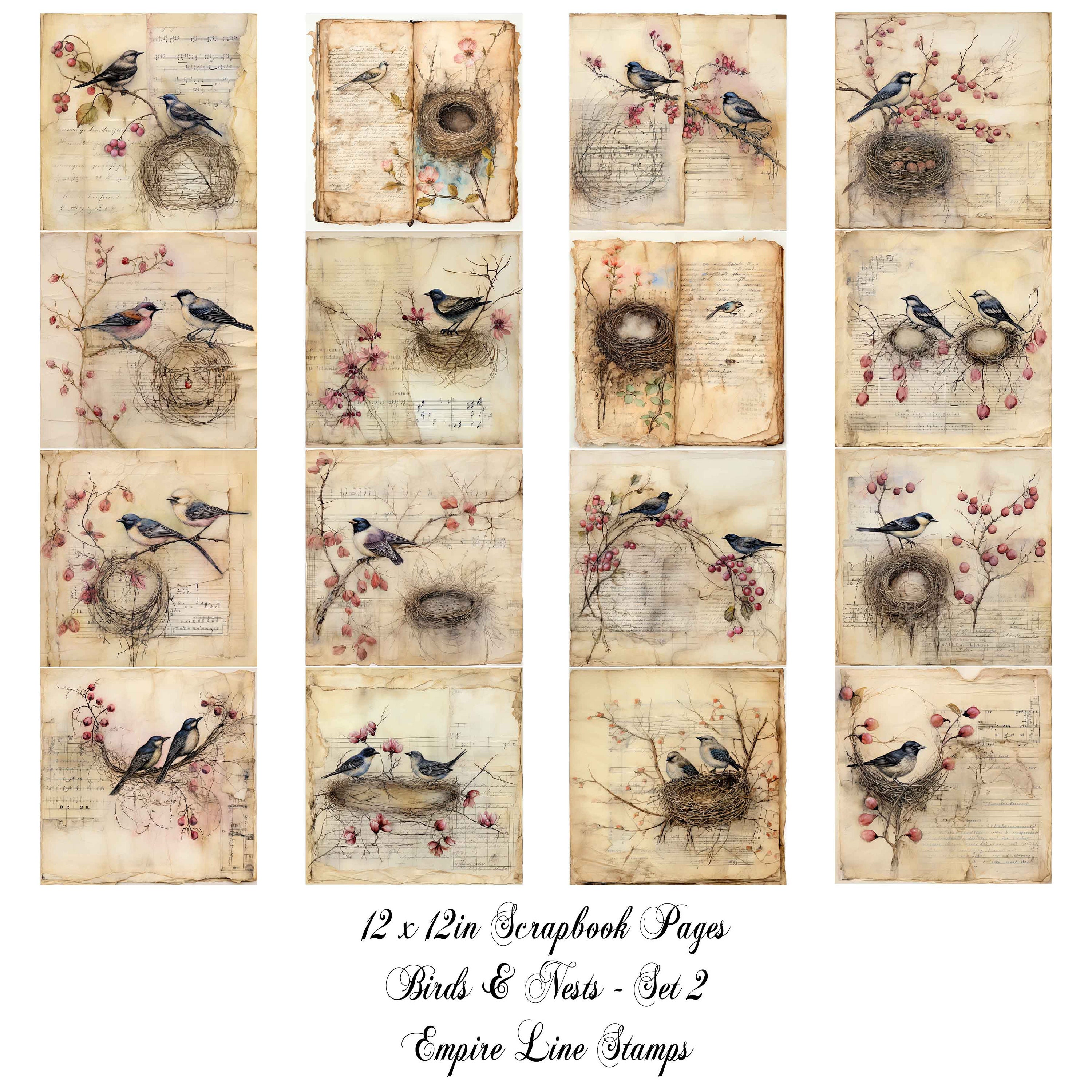 Birds and Nests 12x12 Inch Full Size Papers Downloadable Printable ...