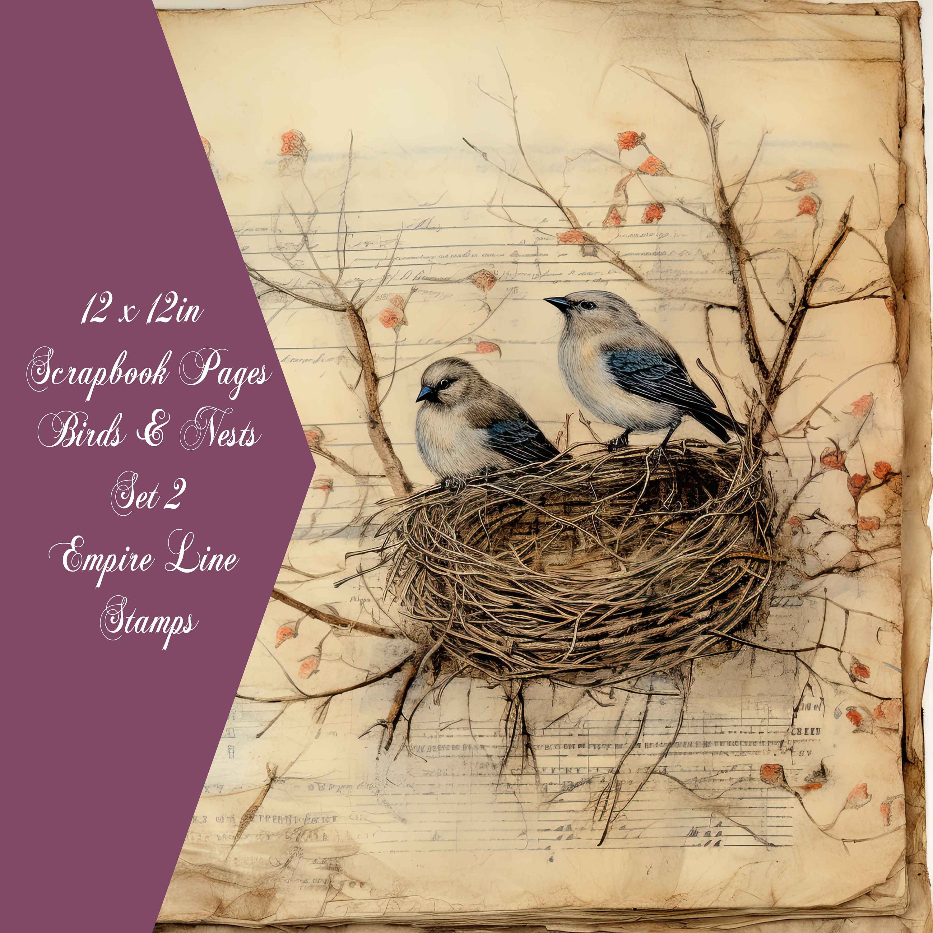 Birds and Nests 12x12 Inch Full Size Papers Downloadable Printable ...