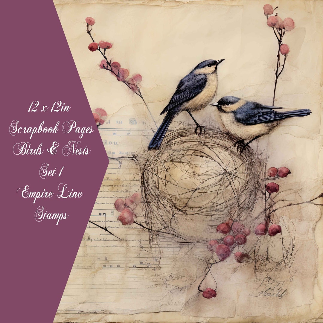 Birds and Nests 12x12 Inch Full Size Papers Downloadable Printable ...