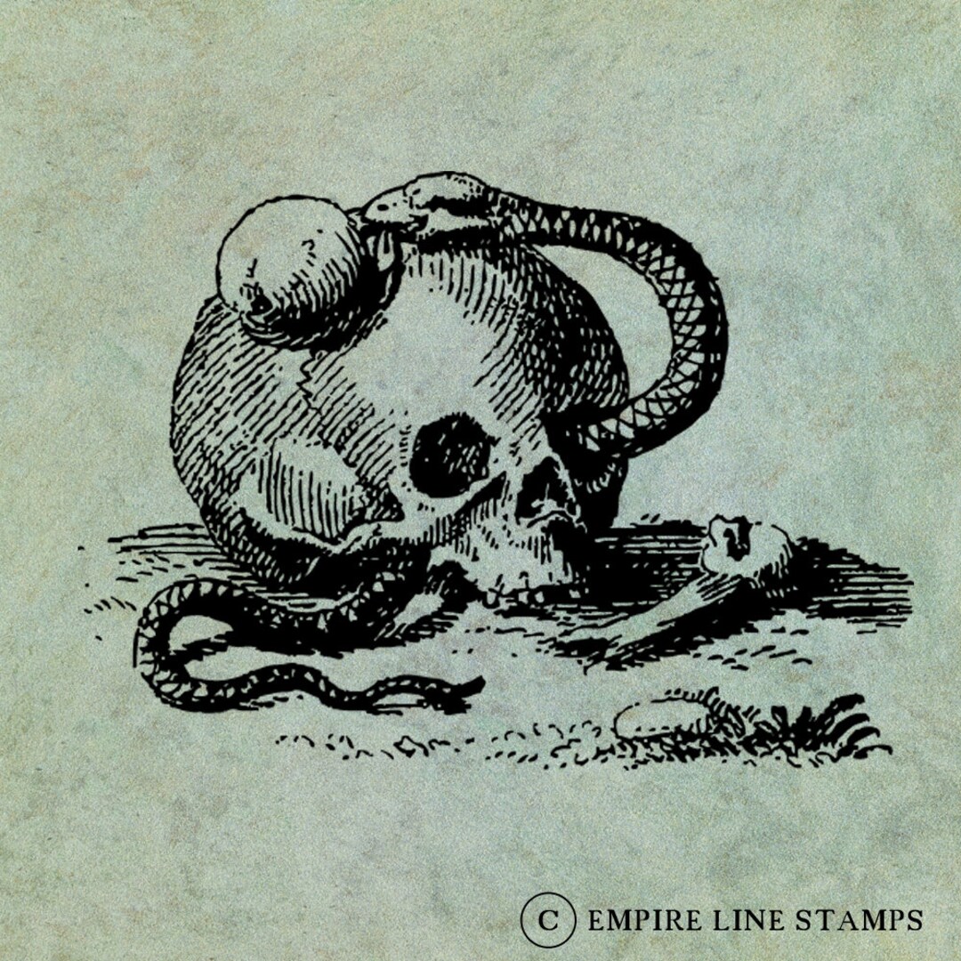 Memento Mori Skull Snake Macarbe Gothic Antique Style Clear Stamp - Etsy