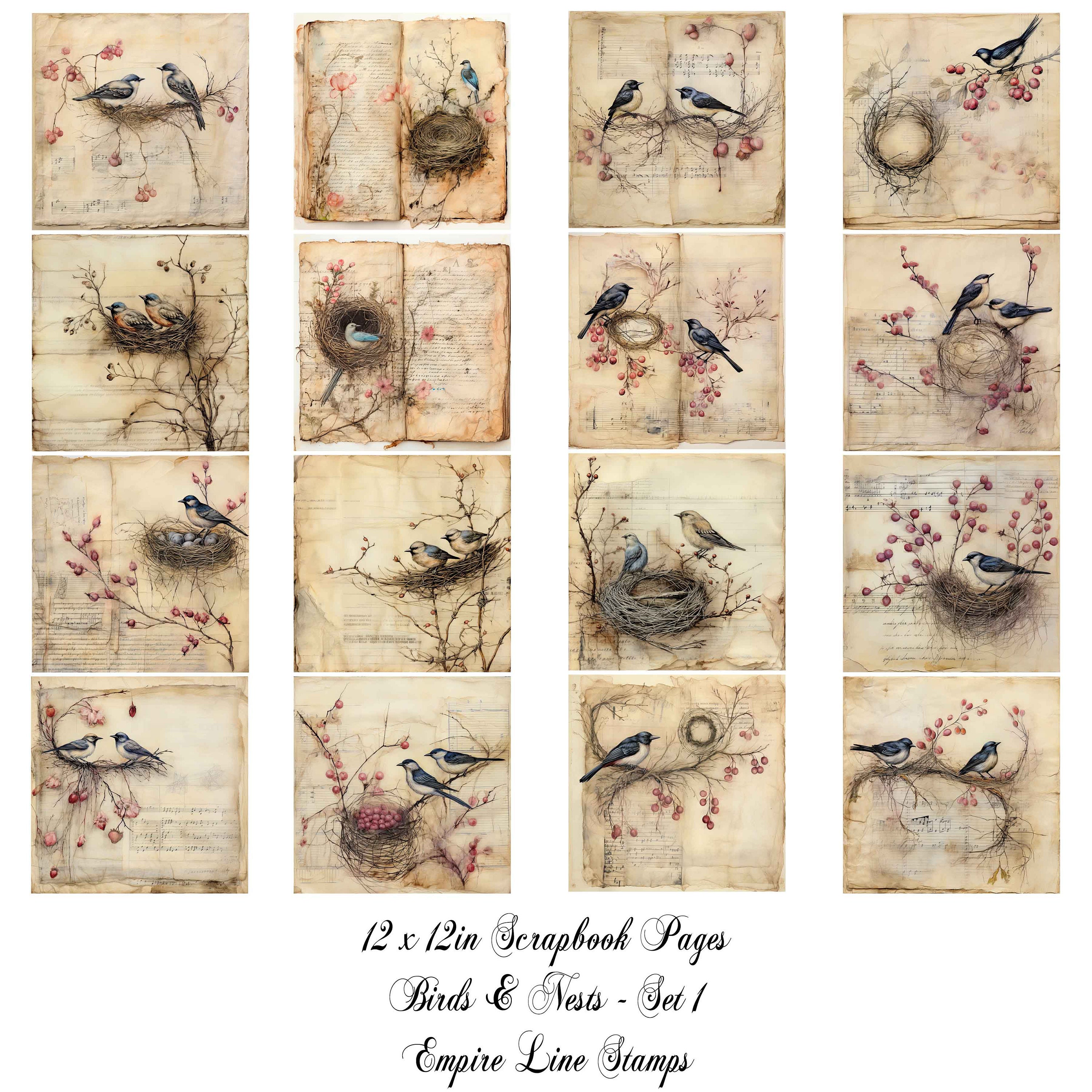 Birds and Nests 12x12 Inch Full Size Papers Downloadable Printable ...