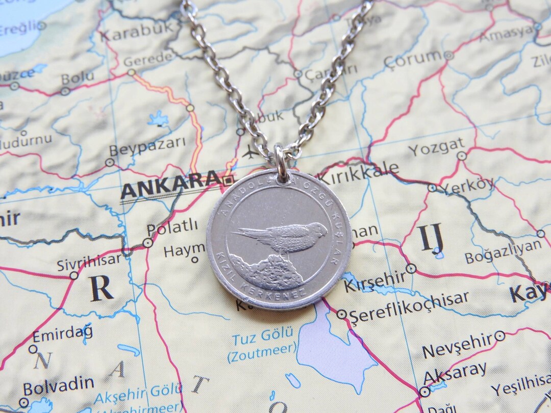 Kestrel Turkey Bird Coin Necklace/keychain | Bird Necklace | Bird ...