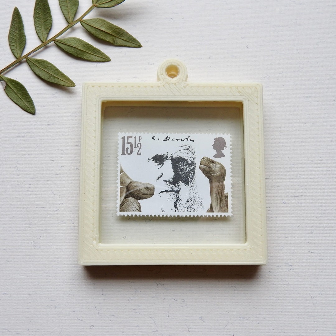 Charles Darwin Framed Stamp in 3D Printed Mini Frame Postage Stamp ...