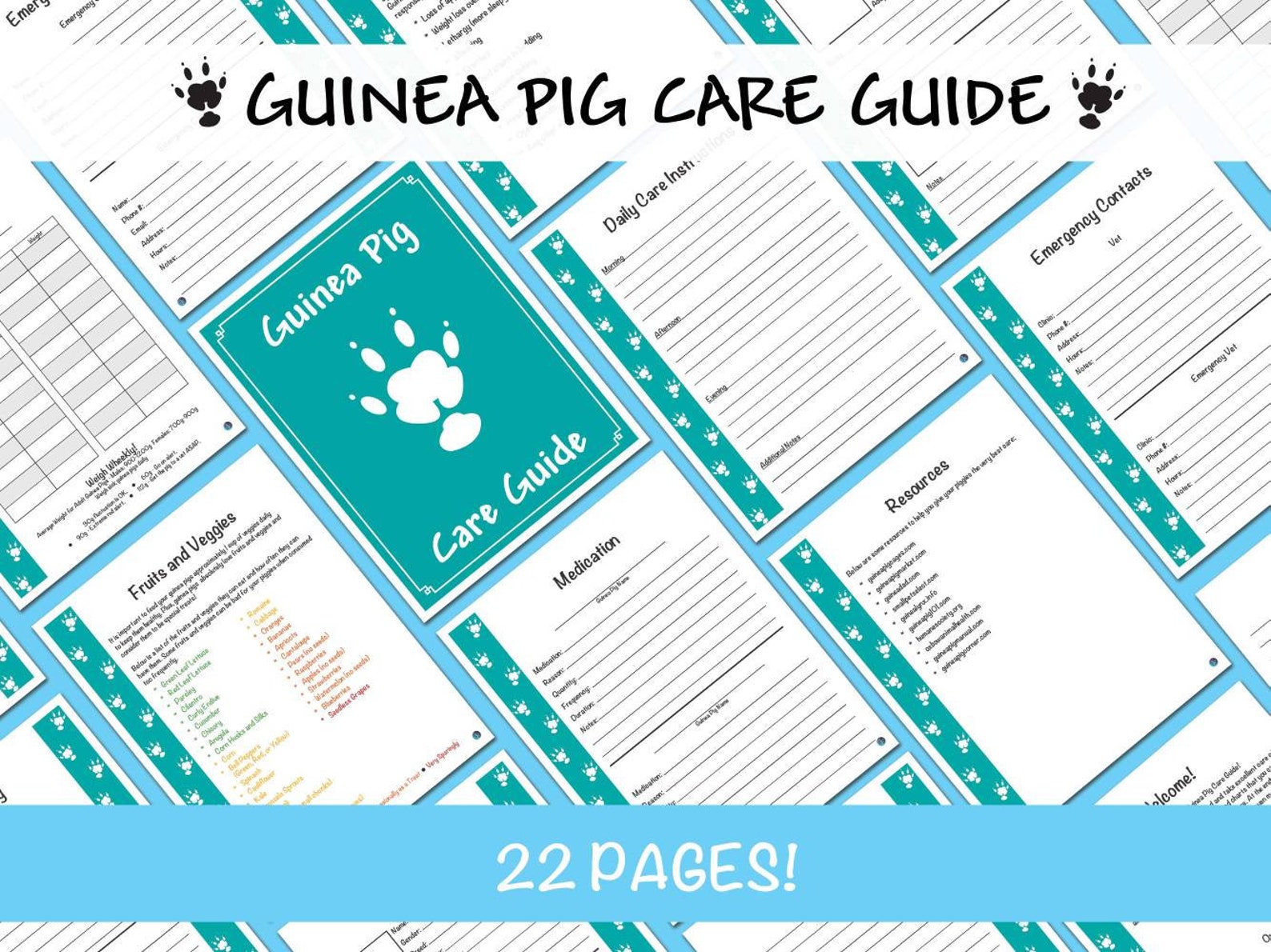 Guinea Pig Care Guide Teal - Etsy