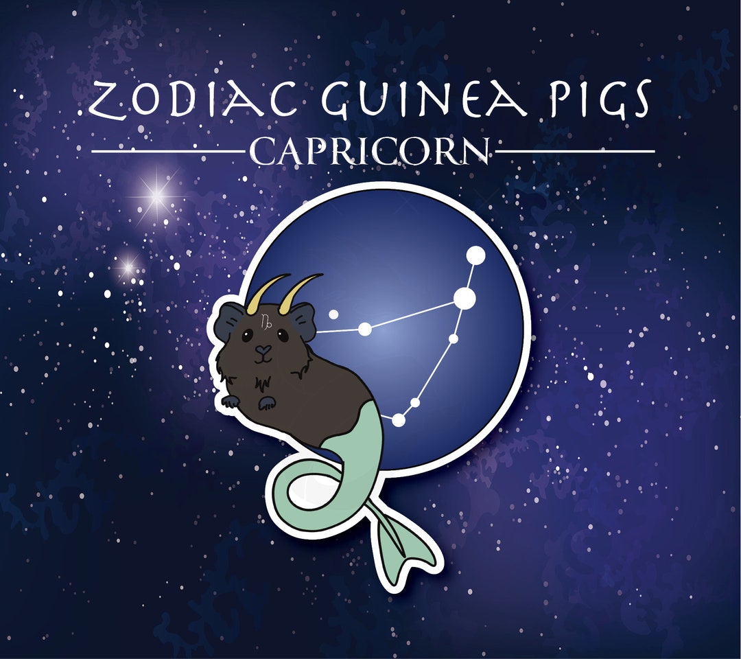 Zodiac Guinea Pigs - Capricorn Stickers | Water Resistant Stickers for ...
