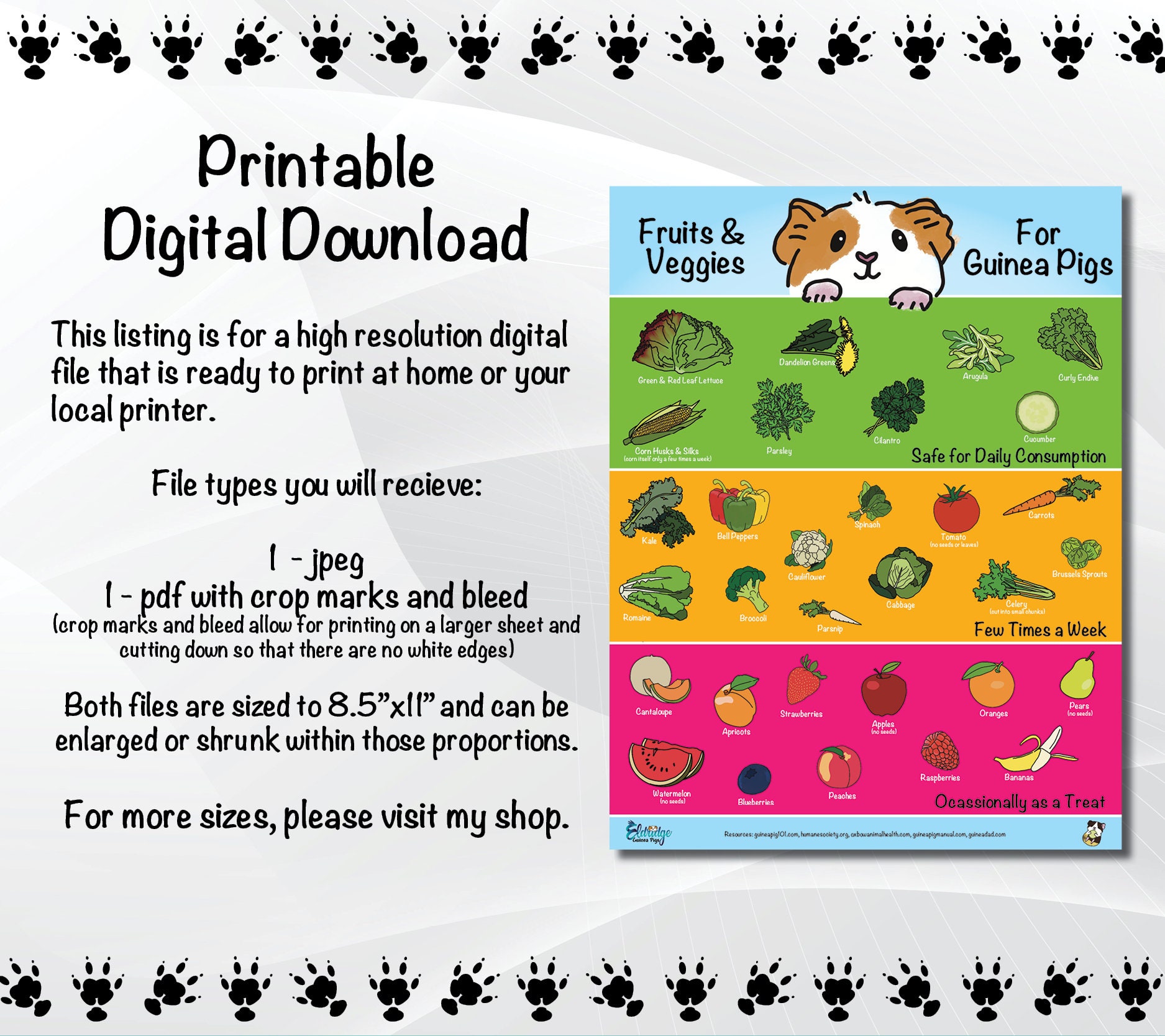Safe Fruits & Veggies for Guinea Pigs Infographic Poster 8.5x11 Digital Download - Etsy