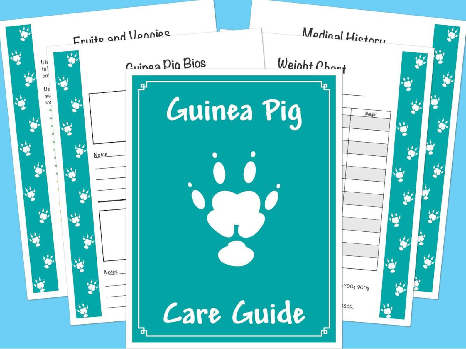 Guinea Pig Care Guide Teal - Etsy