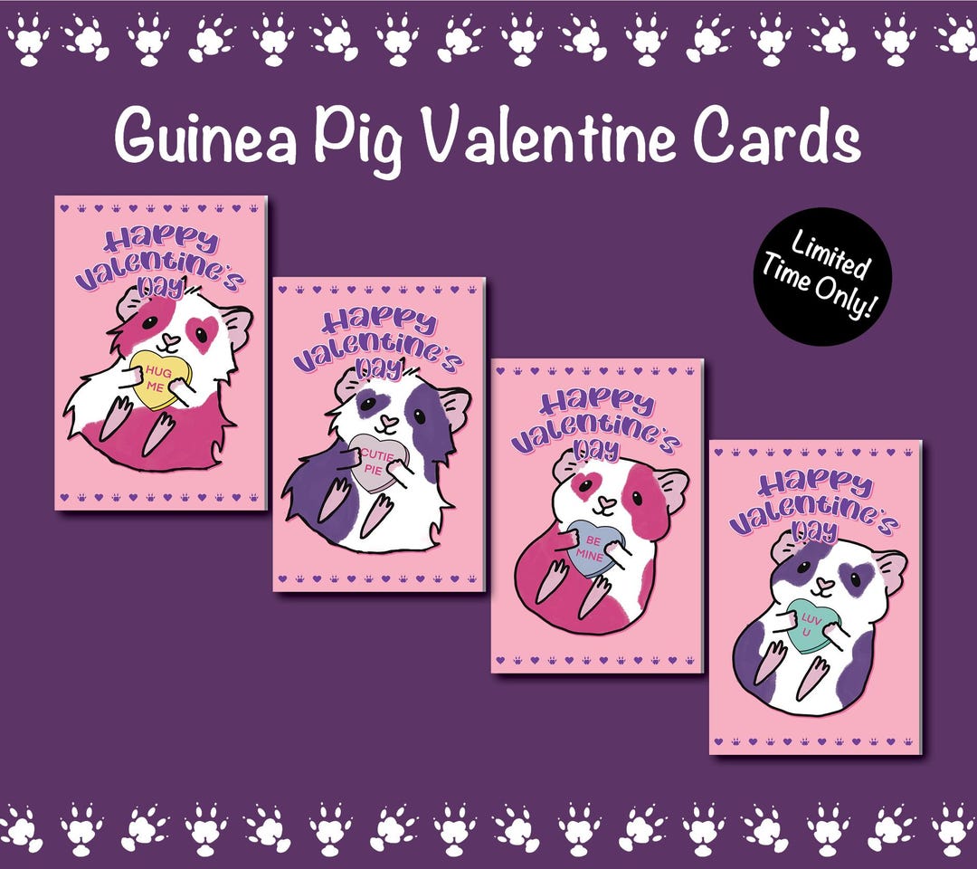 Guinea Pig Valentine's Cards | Folding Card - Etsy