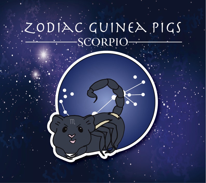 Scorpio Zodiac Guinea Pig Sticker - Zodiac Piggy Decal - Etsy