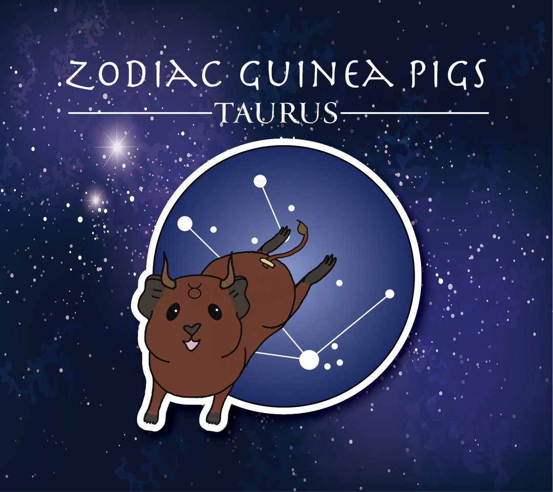 Zodiac Guinea Pigs - Taurus Stickers | Water Resistant Stickers for Car ...
