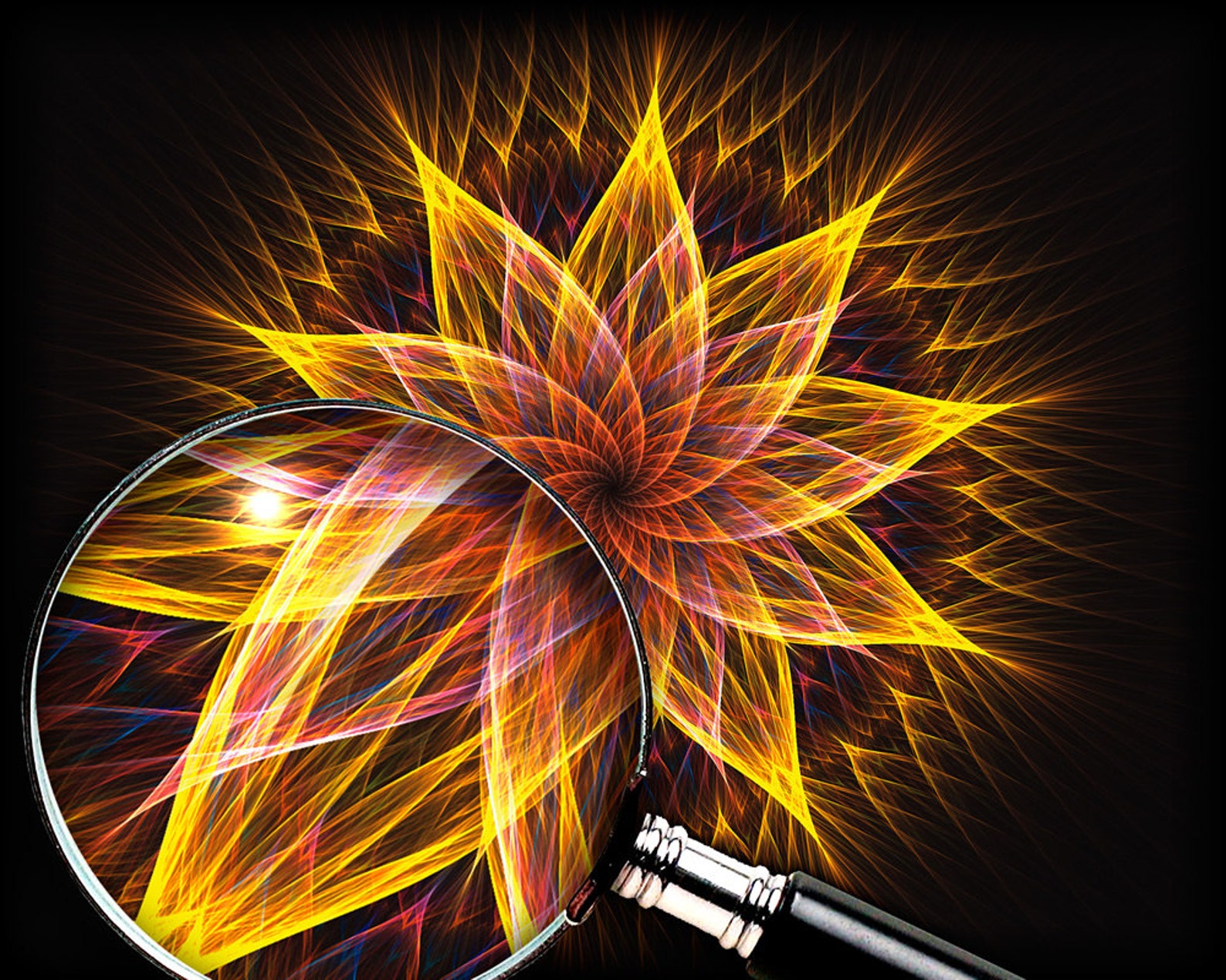 FLORAL RADIANCE Art - HD Print: Sacred Geometry, Fractal, Mandala ...