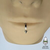 Split Double Lip Hoop Ring, 18,16ga, 8,10,12mm, Unisex, G23 Titanium ...