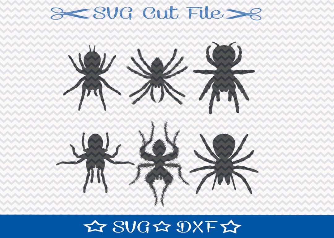 Spider SVG File / SVG Cut File for Silhouette / Animal SVG / Insect Svg ...