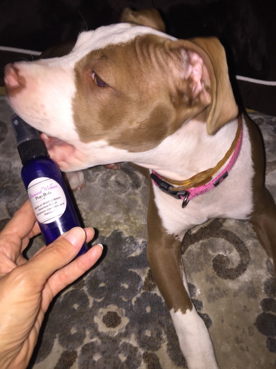 Pup Rub (for Skin and Fur) - Etsy