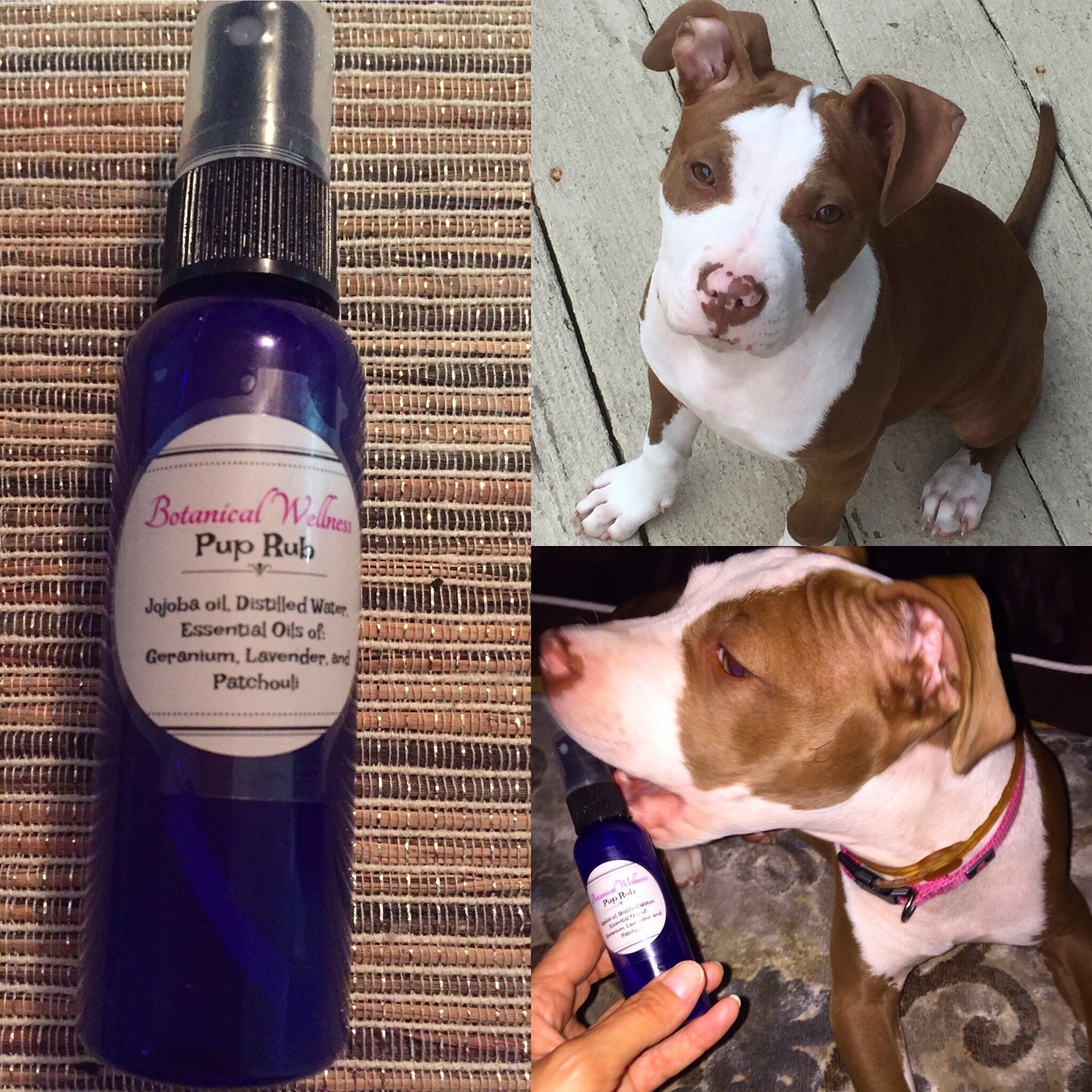 Pup Rub (for Skin and Fur) - Etsy