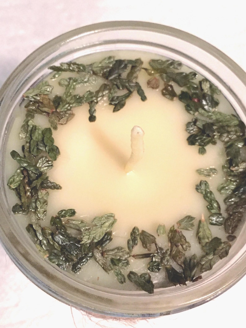 Bees Wax Bug Repellent Candles - Etsy