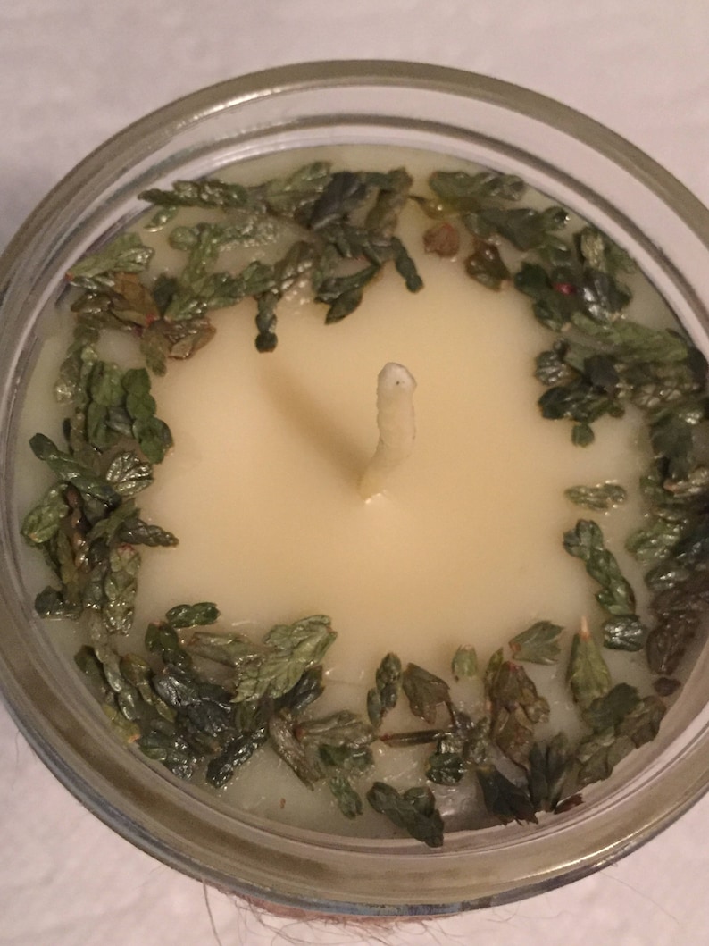 Bees Wax Bug Repellent Candles - Etsy