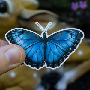 Blue Butterfly Vinyl Sticker, Vinyl Decal, Waterproof, Scratch ...