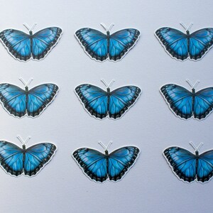 Blue Butterfly Vinyl Sticker, Vinyl Decal, Waterproof, Scratch ...