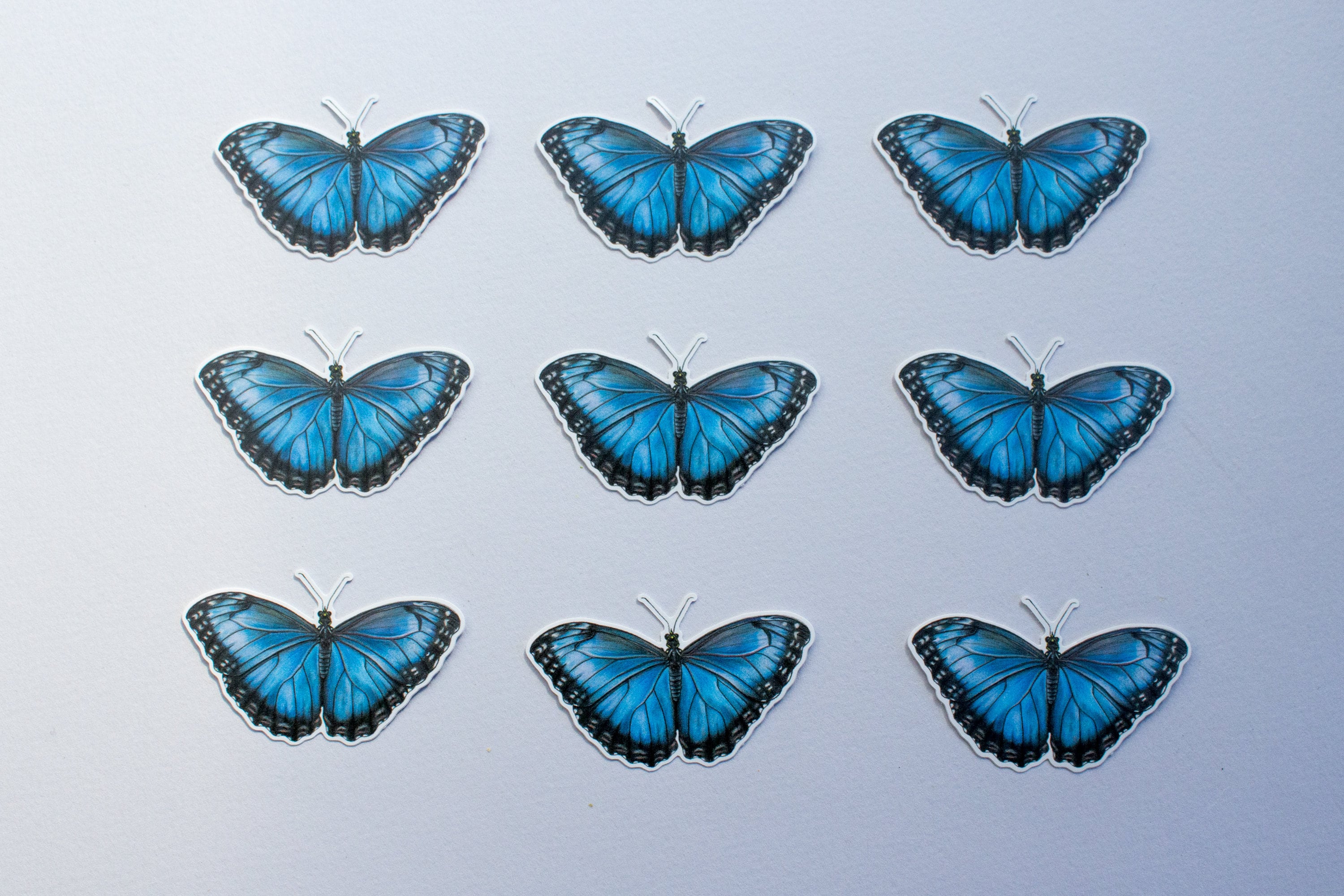 Blue Butterfly Vinyl Sticker Vinyl Decal Waterproof Scratch | Etsy