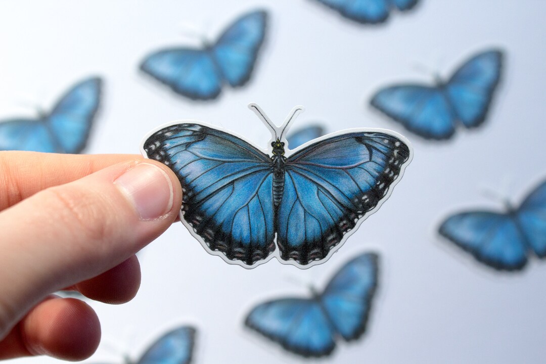 Blue Butterfly Vinyl Sticker Vinyl Decal Waterproof Scratch - Etsy