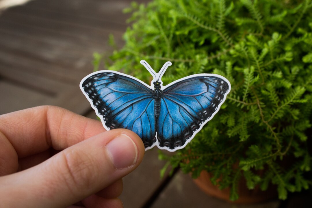 Blue Butterfly Vinyl Sticker, Vinyl Decal, Waterproof, Scratch ...