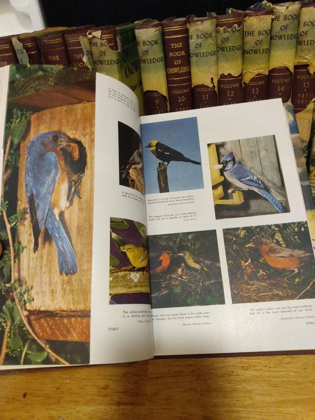 1957 Grolier BOOK OF KNOWLEDGE Complete 20 Volume Set Magic Carpet ...