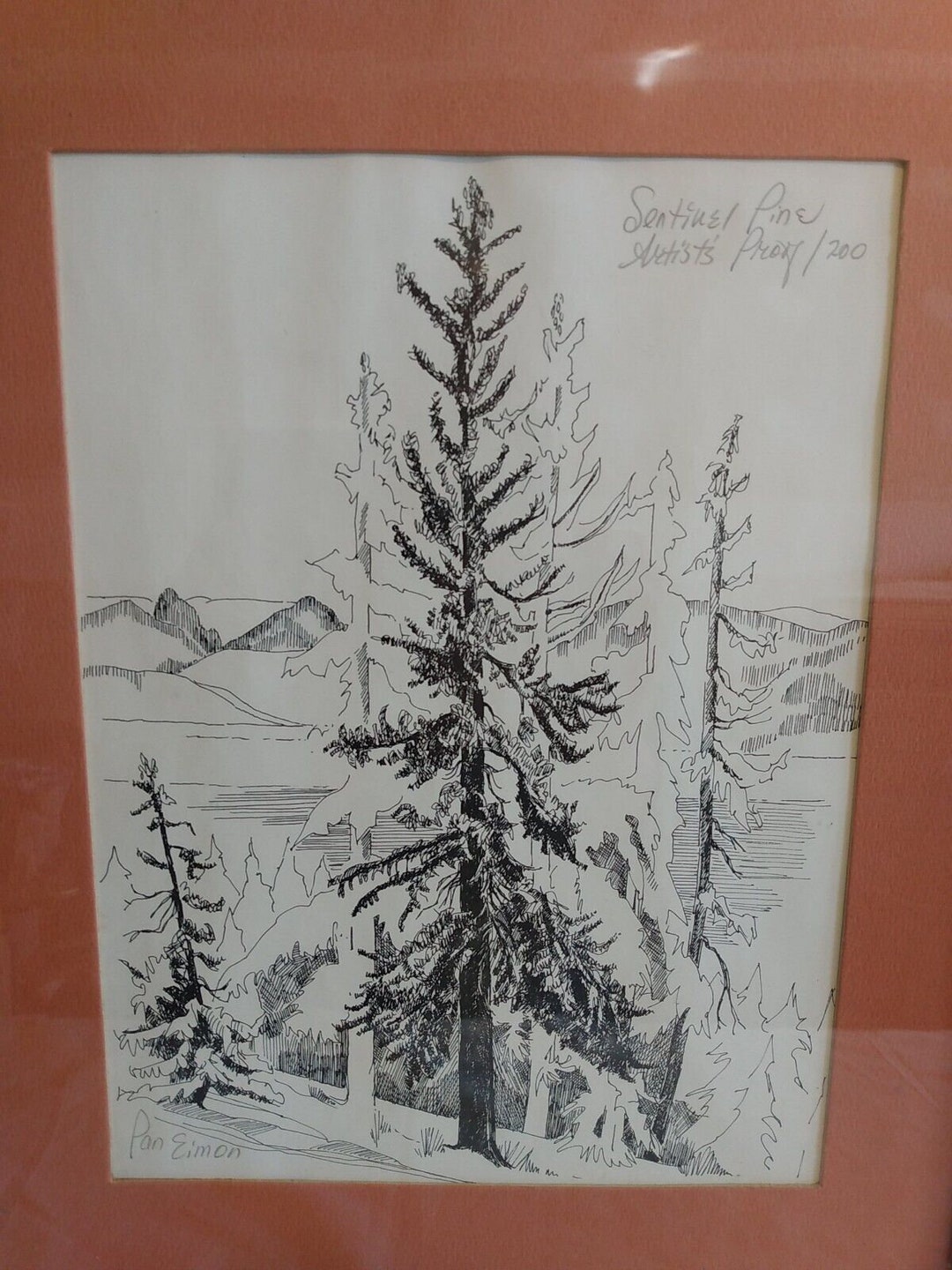 Pan Eimon Artist Proof Sentinel Pine - Etsy