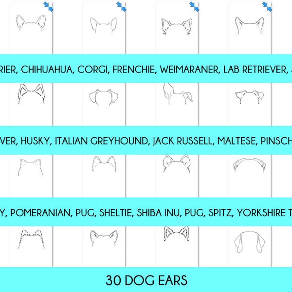 Shiba Ears Line Art - Etsy