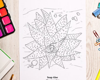 Cacti & Succulent Coloring Book digital Download PDF - Etsy