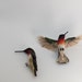 Hummingbird felted Bird Gift for Mom Lifelike Bird Spring - Etsy