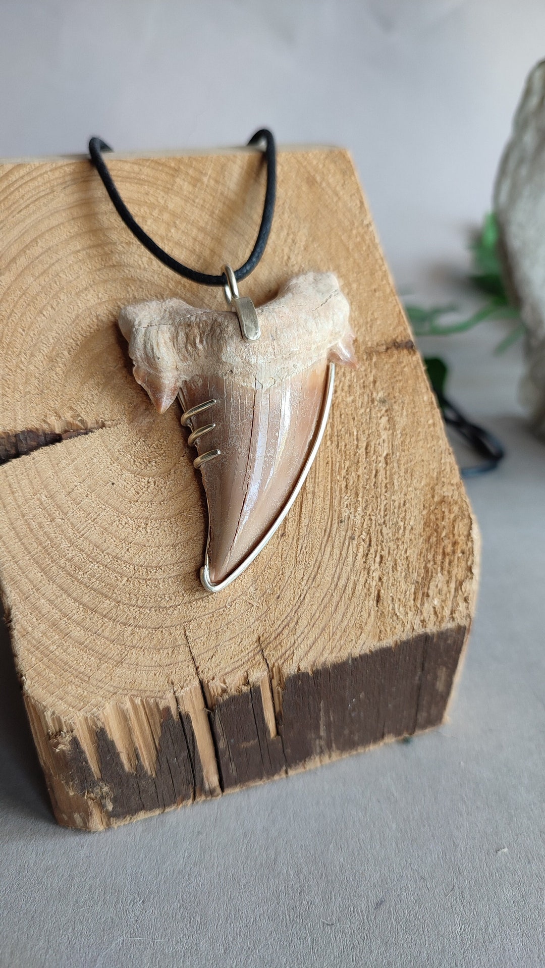 Eocene Era Tooth Pendant // Fossile Pendant // Statement Piece // Dino ...