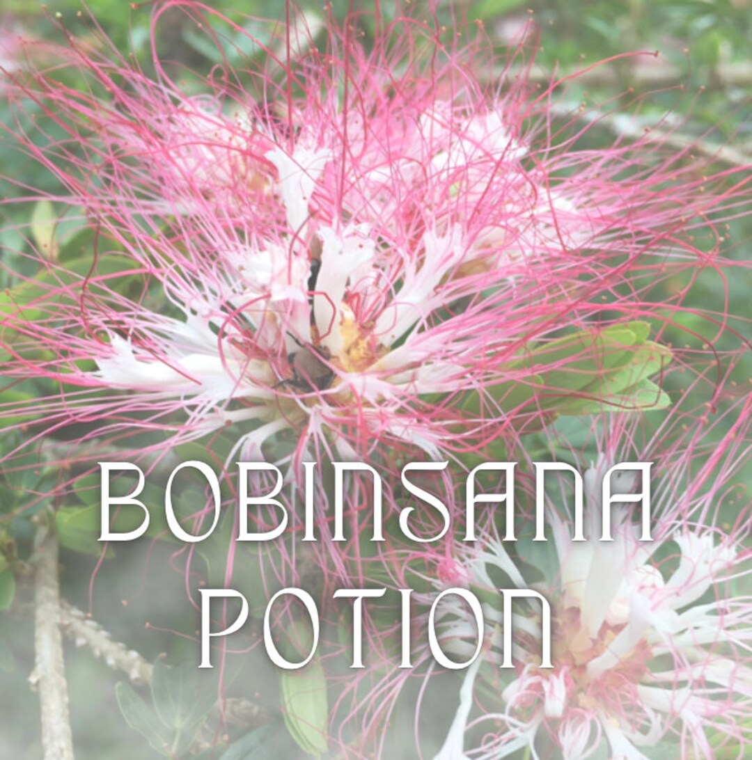 BOBINSANA Potion - Etsy