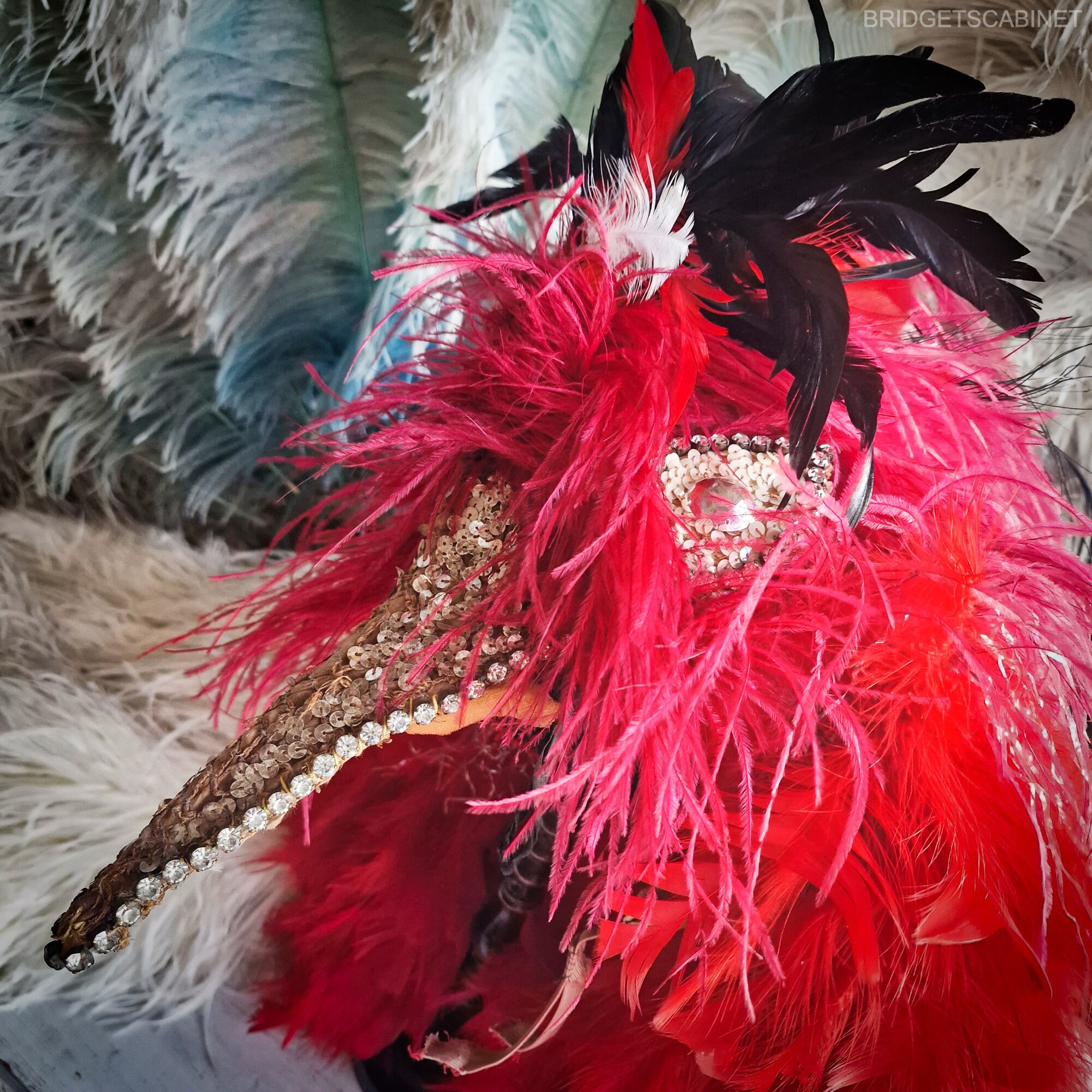 Elegant Vintage Paradise Bird Headdress: A Rare Gem From the - Etsy
