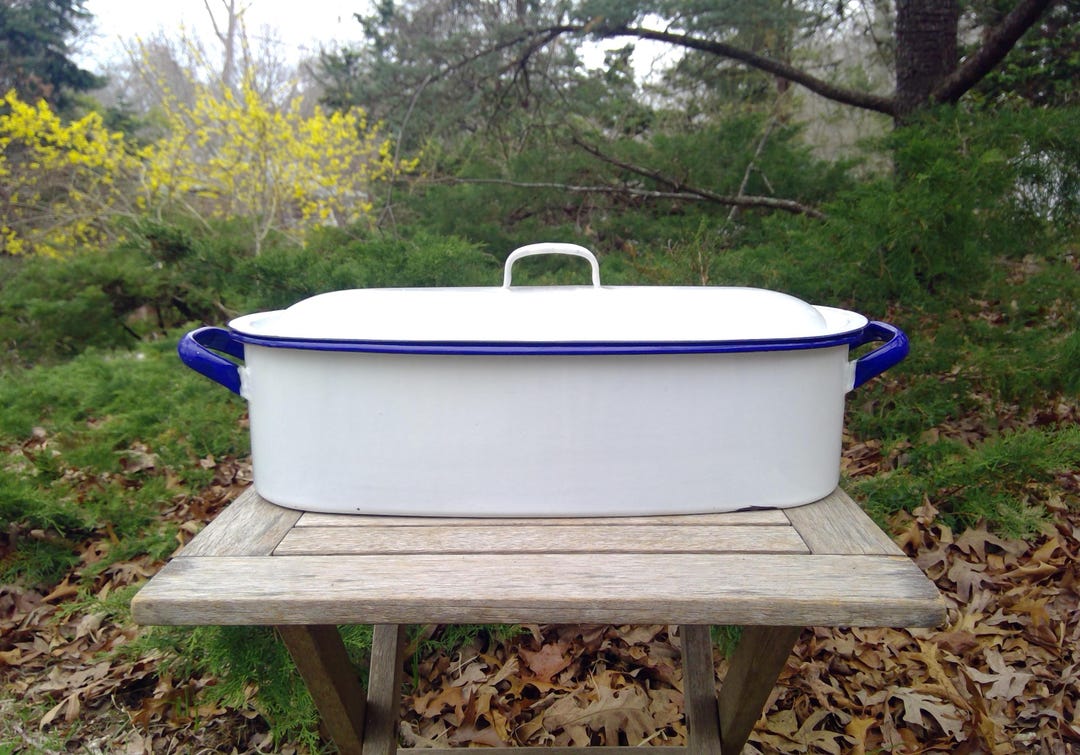 Vintage White Enamel FISH Pot Poacher With INSERT & Lid Long Steamer ...